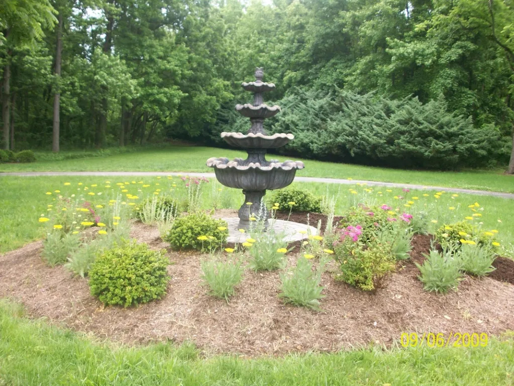 4 Things to Consider When Installing an Outdoor Water Feature - Carroll ...